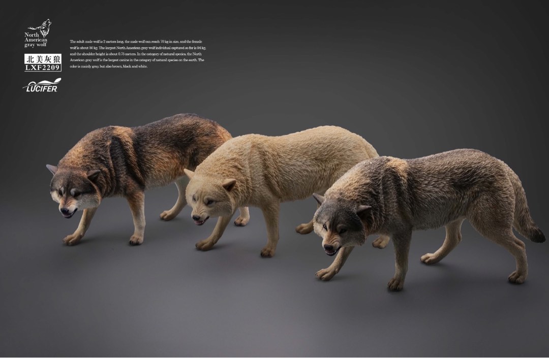 [PO] Lucifer LXF2209 1/6 North American Gray Wolf, Hobbies & Toys, Toys ...
