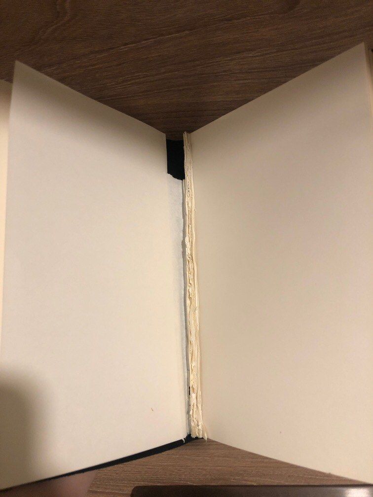 Tom Marvolo Riddle’s Diary - Harry Potter Wizarding World Original ...