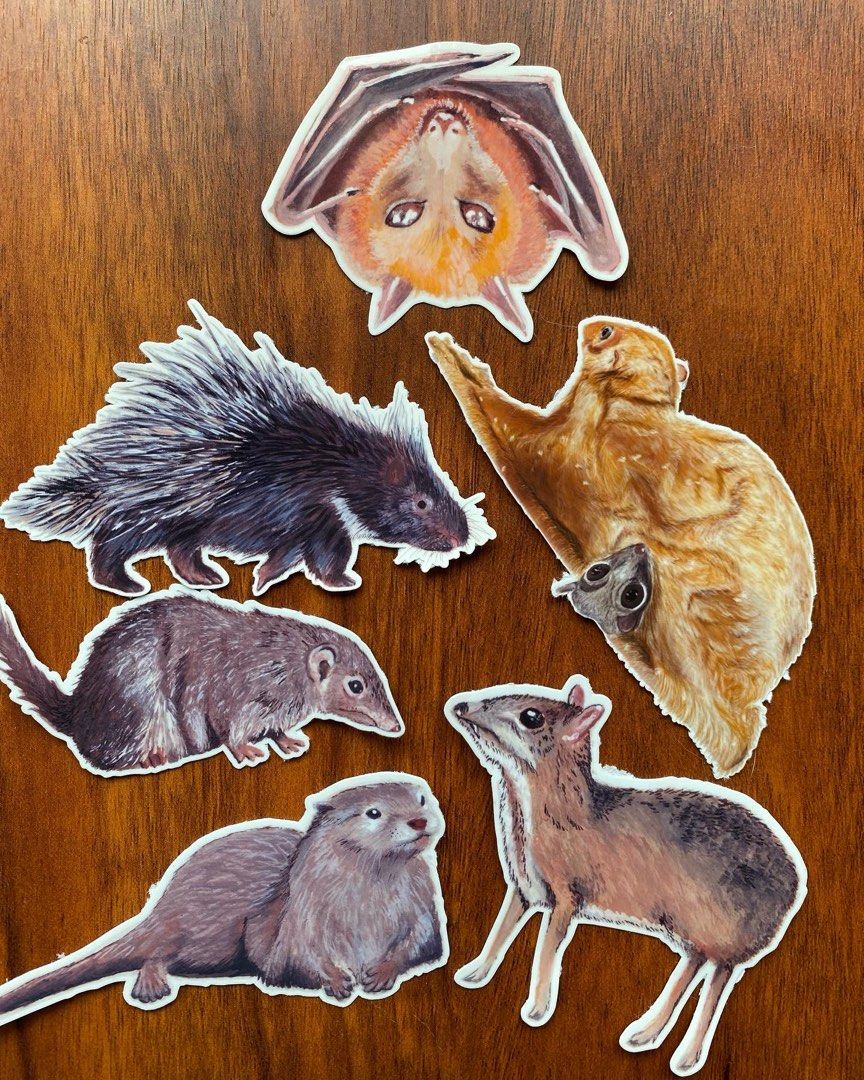 Waterproof scratch proof laminated sticker laptop/bottle decal of local ...