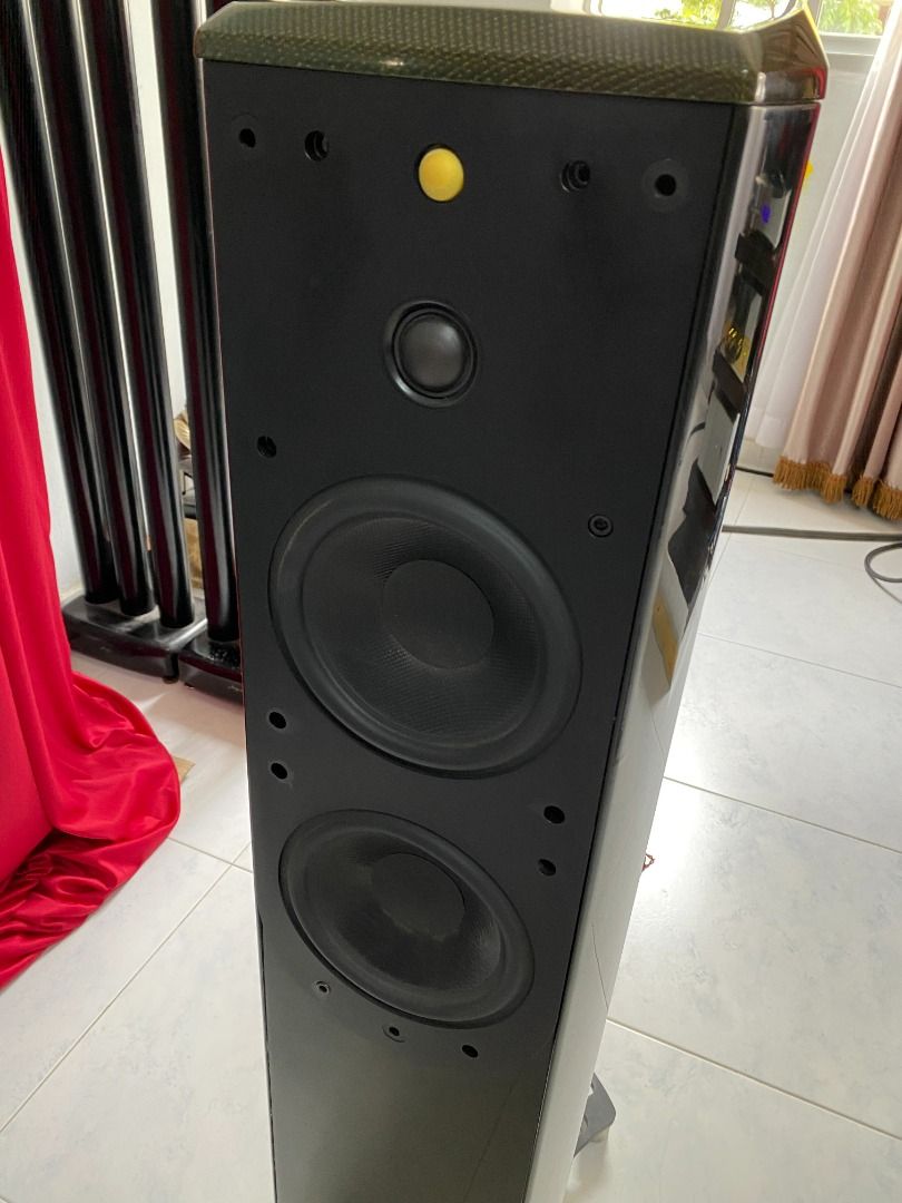 Wilson Benesch A.C.T C60 floor standing loudspeaker, Audio, Soundbars ...