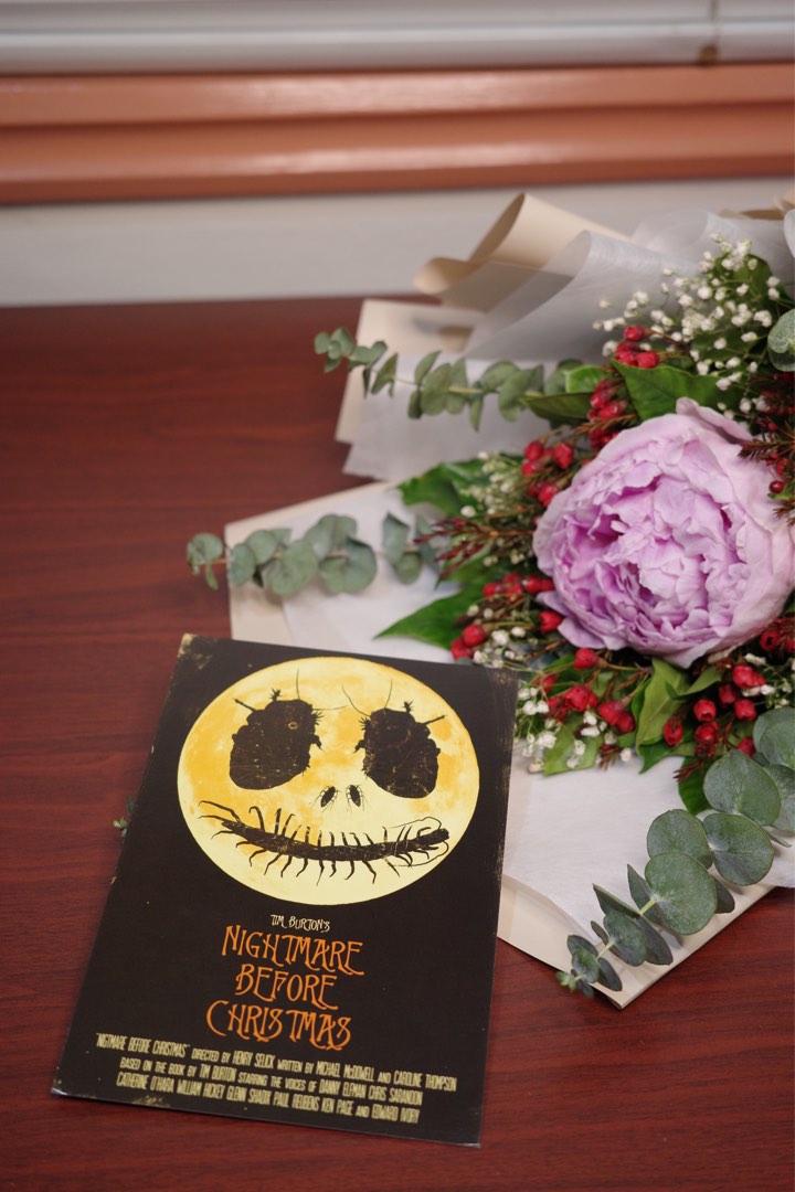 5x7 "The Nightmare Before Christmas" Hard Card Stock Postcard, Hobbies ...