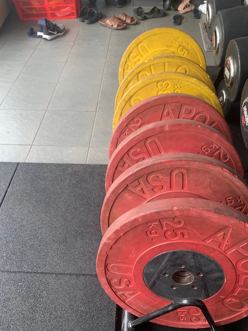Apollo Bumper Plates, Sports Equipment, Exercise & Fitness, Weights ...