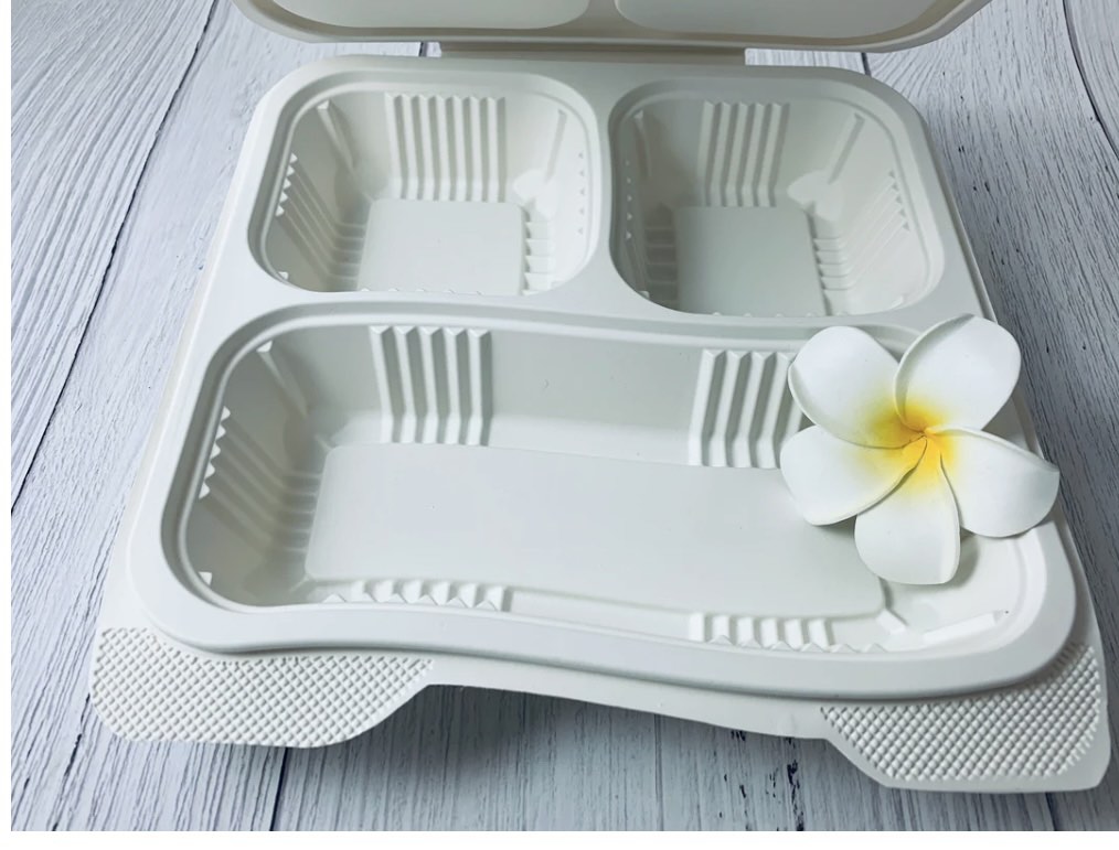 Disposable bento box, Furniture & Home Living, Kitchenware & Tableware ...