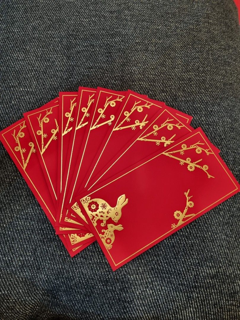 Dyson Red Packet 2023, Hobbies & Toys, Stationery & Craft, Occasions ...