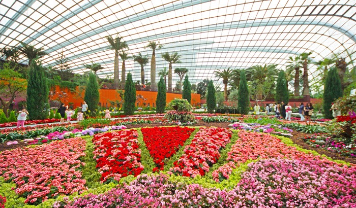 Flower Dome and Supertree Observatory, Tickets & Vouchers, Local ...