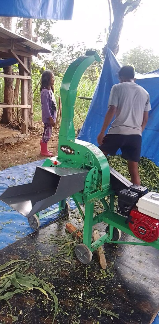 Forage Chopper with Gasoline Engine, Commercial & Industrial ...