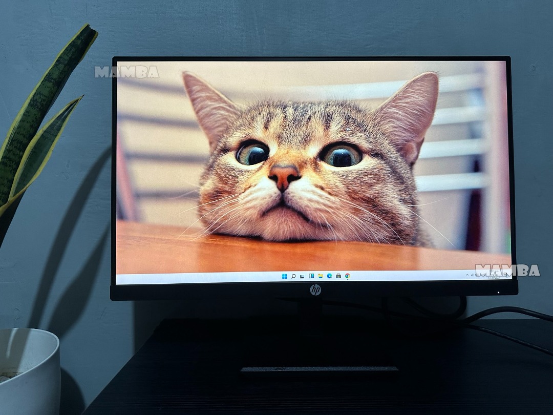 HP 22inches | Frameless Monitor | IPS | FullHD, Computers & Tech, Parts ...