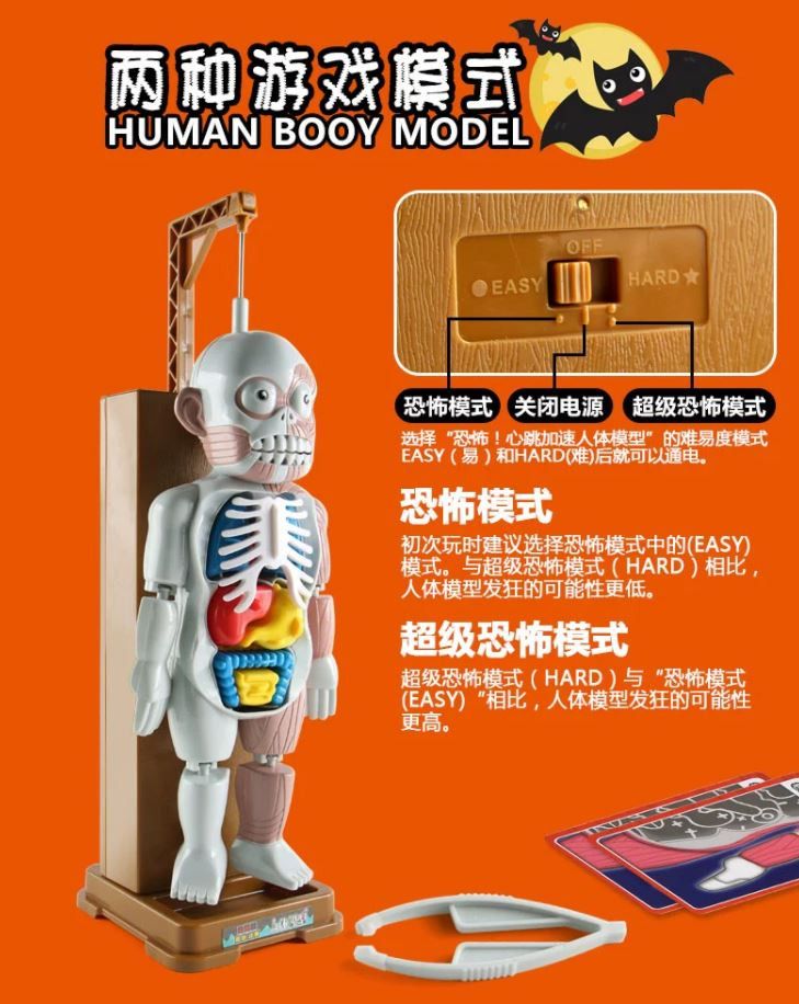 Human Anatomy Interactive Dissection Puzzle [Megahouse], Hobbies & Toys ...