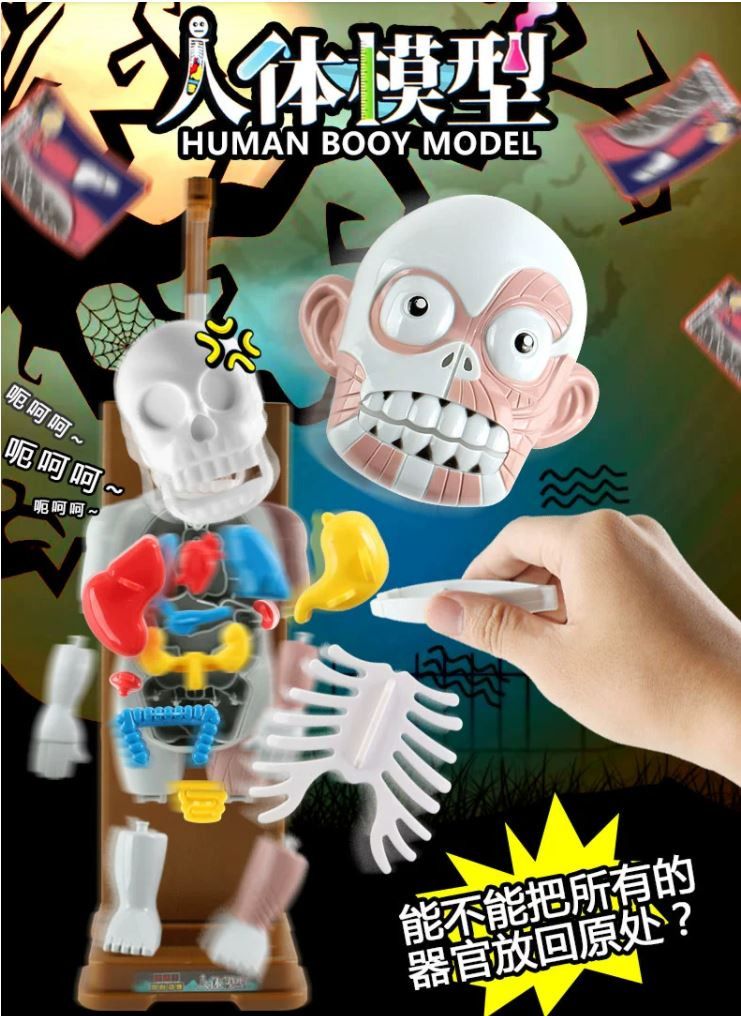 Human Anatomy Interactive Dissection Puzzle [Megahouse], Hobbies & Toys ...