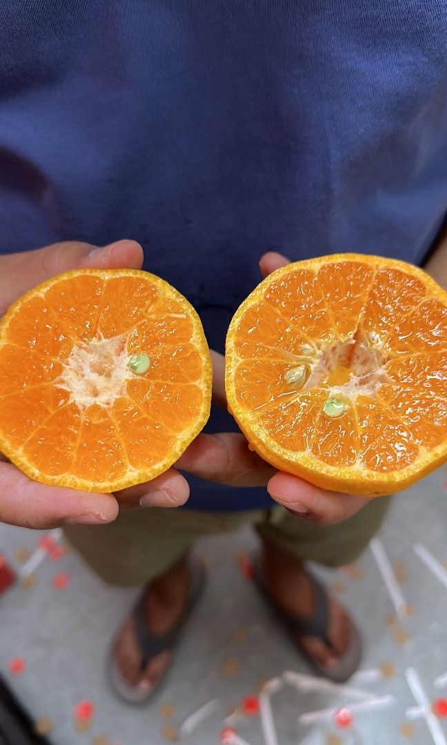 lukan, Food & Drinks, Packaged & Instant Food on Carousell