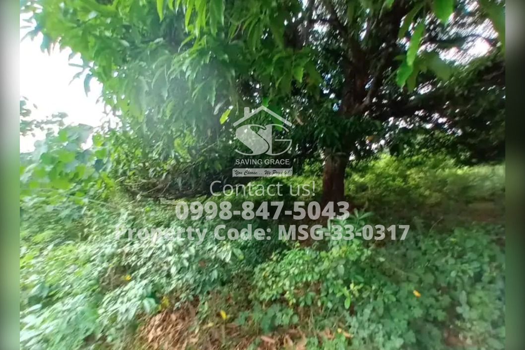 MSG-33-0317: For Sale Residential Lot in Mango Orchard Residential and ...