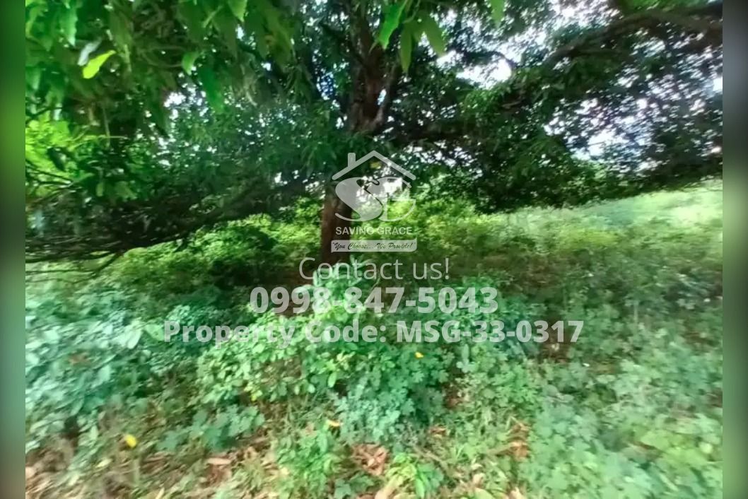 MSG-33-0317: For Sale Residential Lot in Mango Orchard Residential and ...
