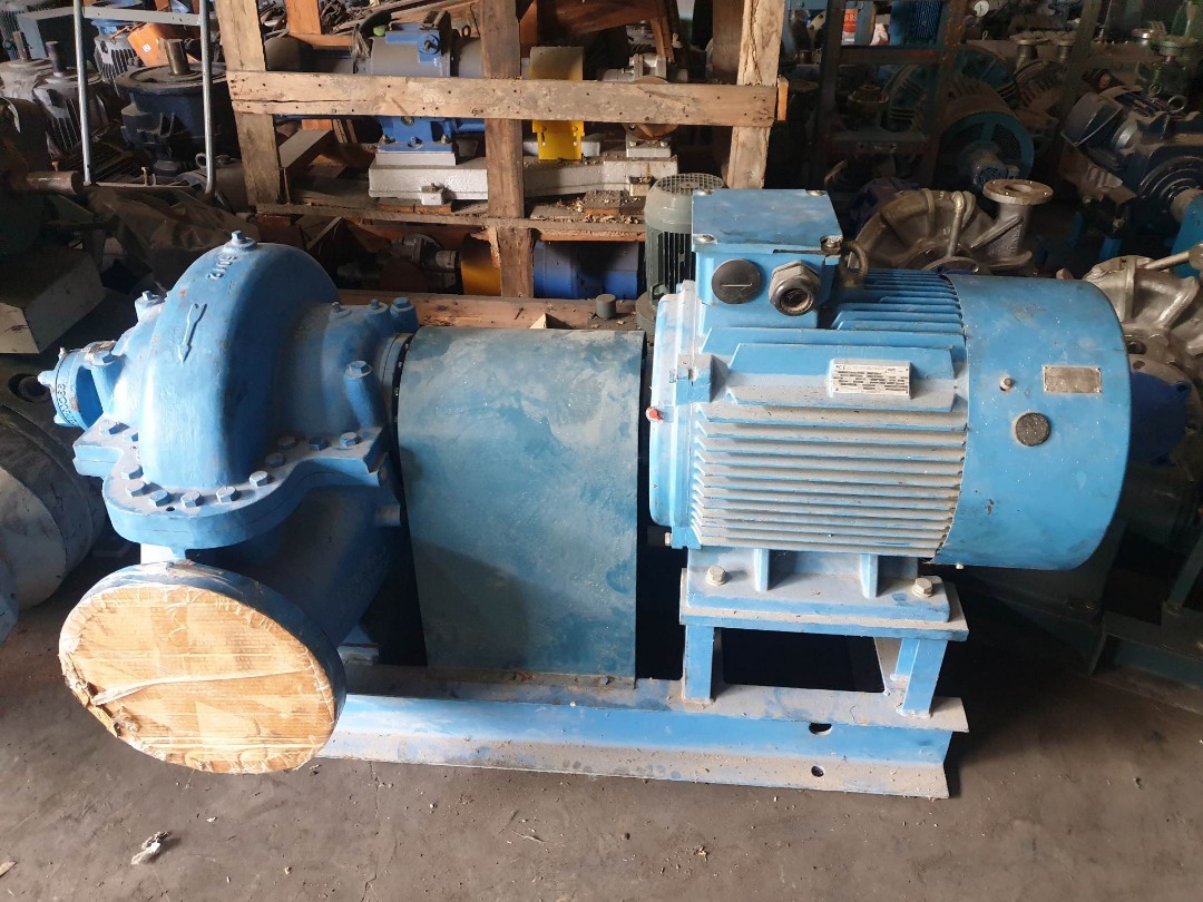 Paco Split Case Pump with Motor Assembly, Commercial & Industrial ...