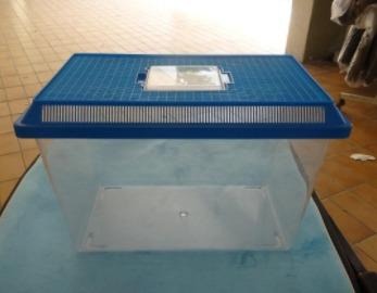 Pet Container/Fish Mini Water Tank with Handle - AHT1368, Pet Supplies ...