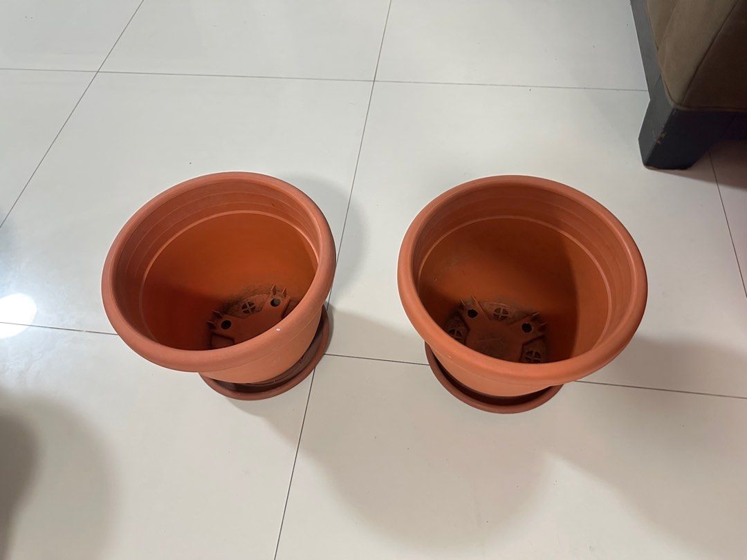 Pots, Furniture & Home Living, Gardening, Pots & Planters on Carousell