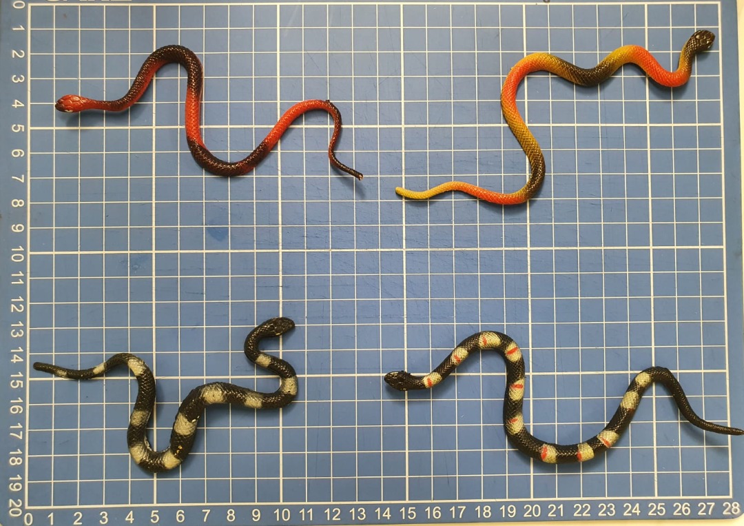 Rubber Snake Toys (S1 to S8), Hobbies & Toys, Toys & Games on Carousell