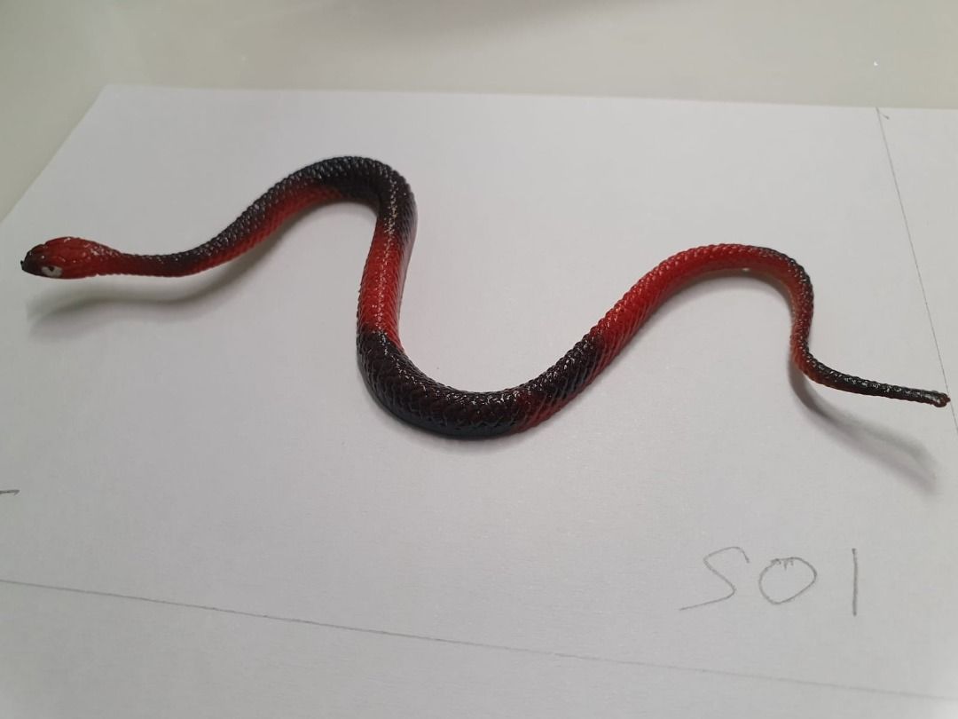 Rubber Snake Toys (S1 to S8), Hobbies & Toys, Toys & Games on Carousell