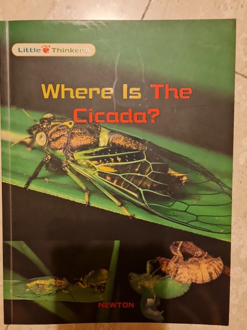 Where I'd the cicada, Hobbies & Toys, Books & Magazines, Children's ...