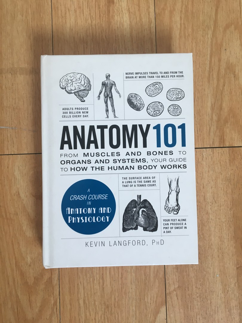 Anatomy 101 (Fully booked), Hobbies & Toys, Books & Magazines ...