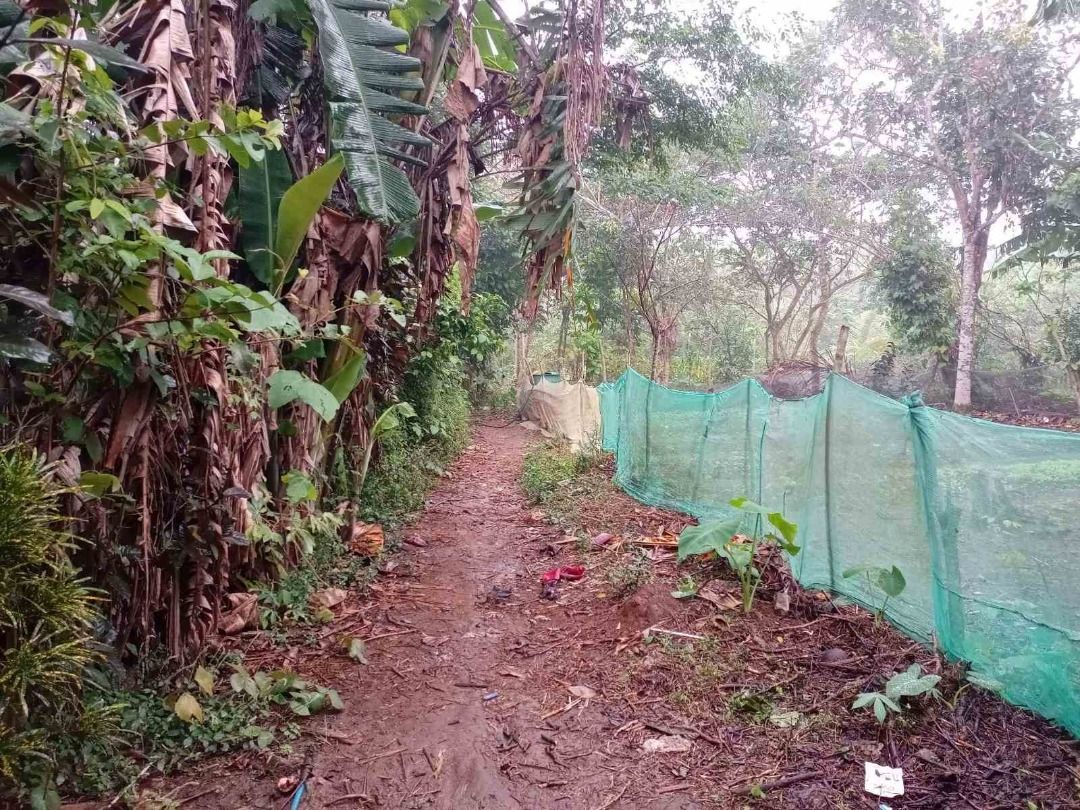 Farm lot for sale along the road near Tagaytay, Property, For Sale, Lot ...