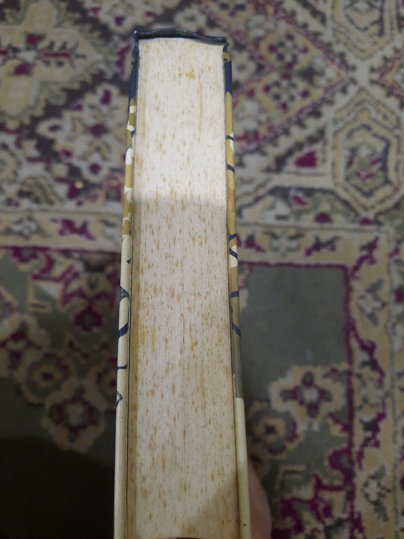 Five Children on the Western Front Kate Saunders (Hardcover) Children ...