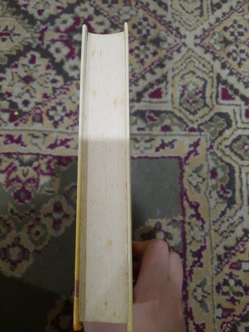 Five Children on the Western Front Kate Saunders (Hardcover) Children ...