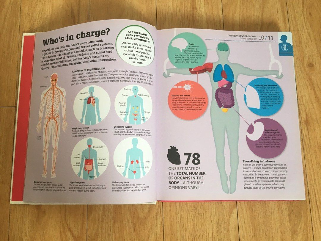 How the Body Works, Hobbies & Toys, Books & Magazines, Textbooks on ...