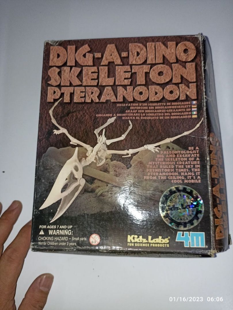 Kidz Labs Dig-a-Dino Skeleton: Pteranodon (Become a Paleontologist by digging the skeleton from ...