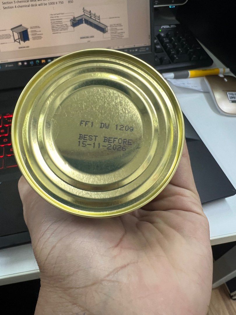 New Zealand wild paua abalone, Food & Drinks, Packaged & Instant Food ...