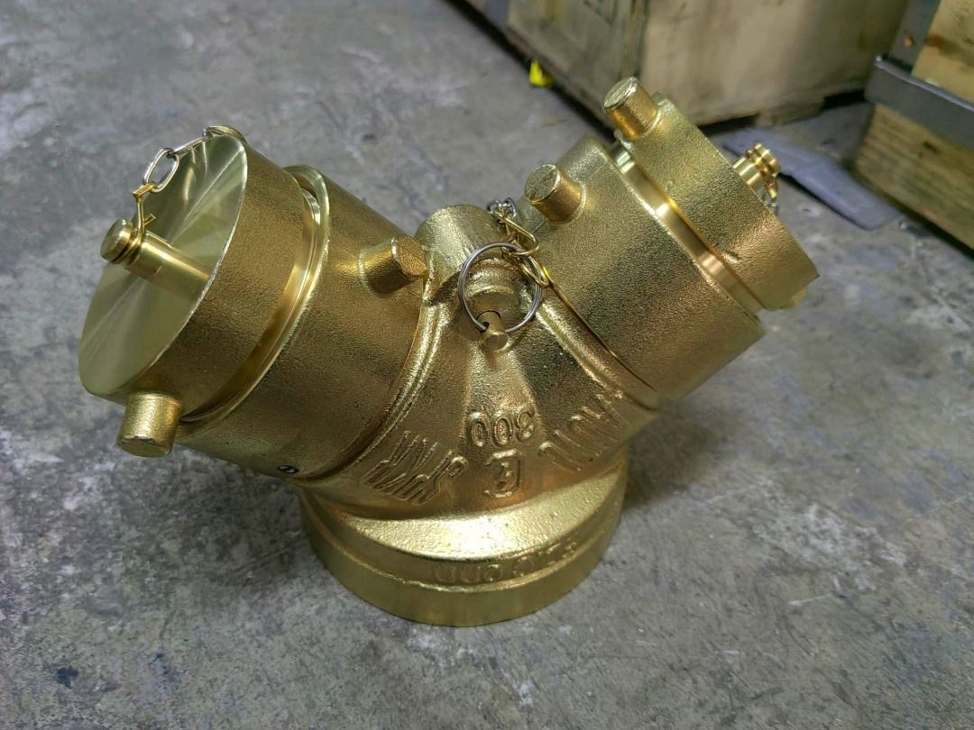 Siamese Twin Fire Department Connection with Cap and Chain, Commercial ...