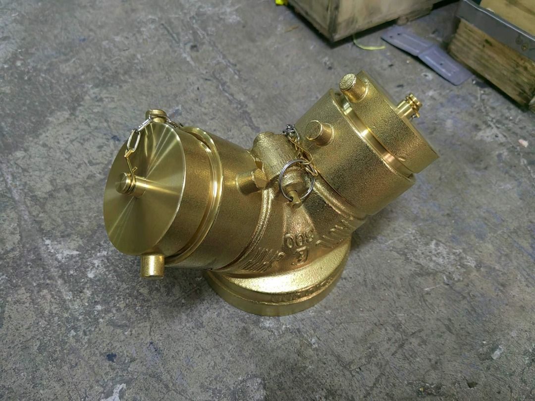 Siamese Twin Fire Department Connection with Cap and Chain, Commercial ...