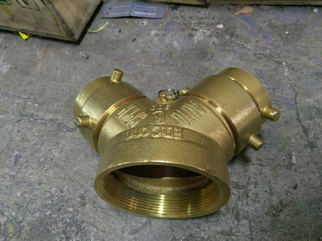 Siamese Twin Fire Department Connection with Cap and Chain, Commercial ...