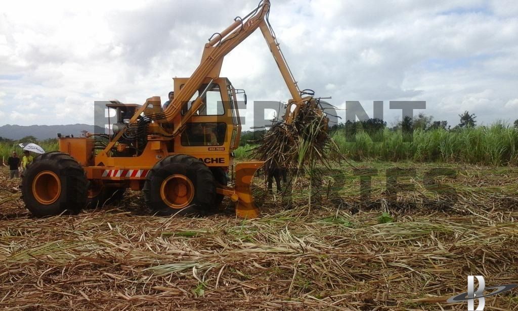 Sugar Cane Agricultural Farm Loader and Cutter, Commercial & Industrial ...