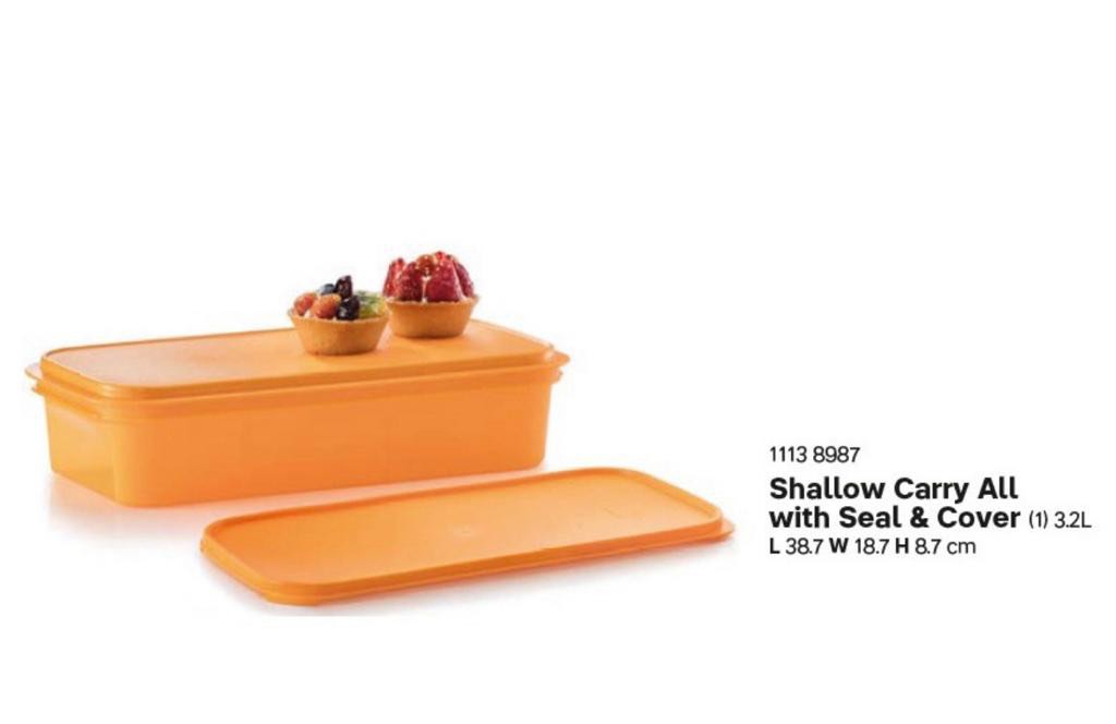 Tupperware Shallow Carry All with Seal & Cover, Furniture & Home Living ...