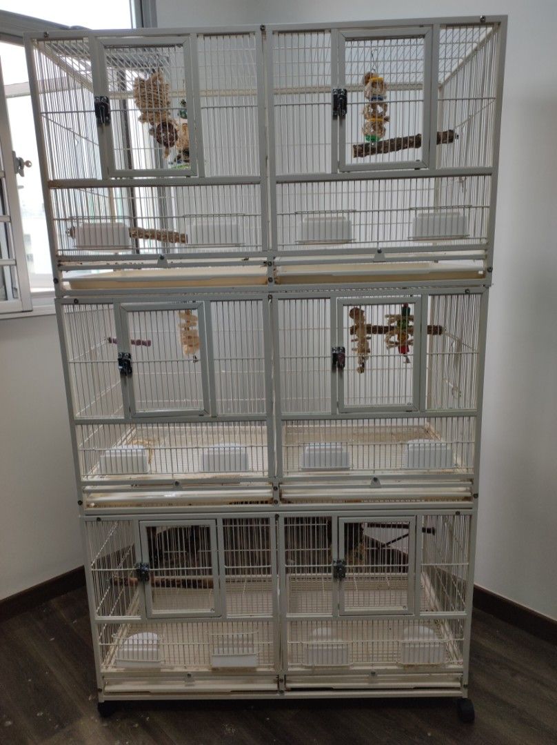 3 Tier Bird Cage with Divider, Pet Supplies, Homes & Other Pet ...