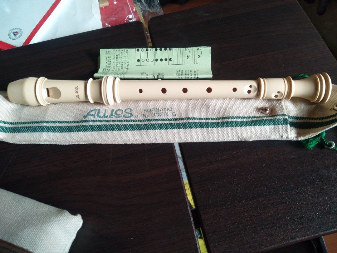aulos flute, Hobbies & Toys, Music & Media, Musical Instruments on ...