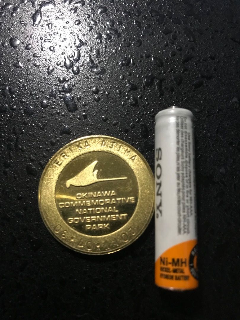 Beluga commemorative gold coin, Hobbies & Toys, Toys & Games on Carousell