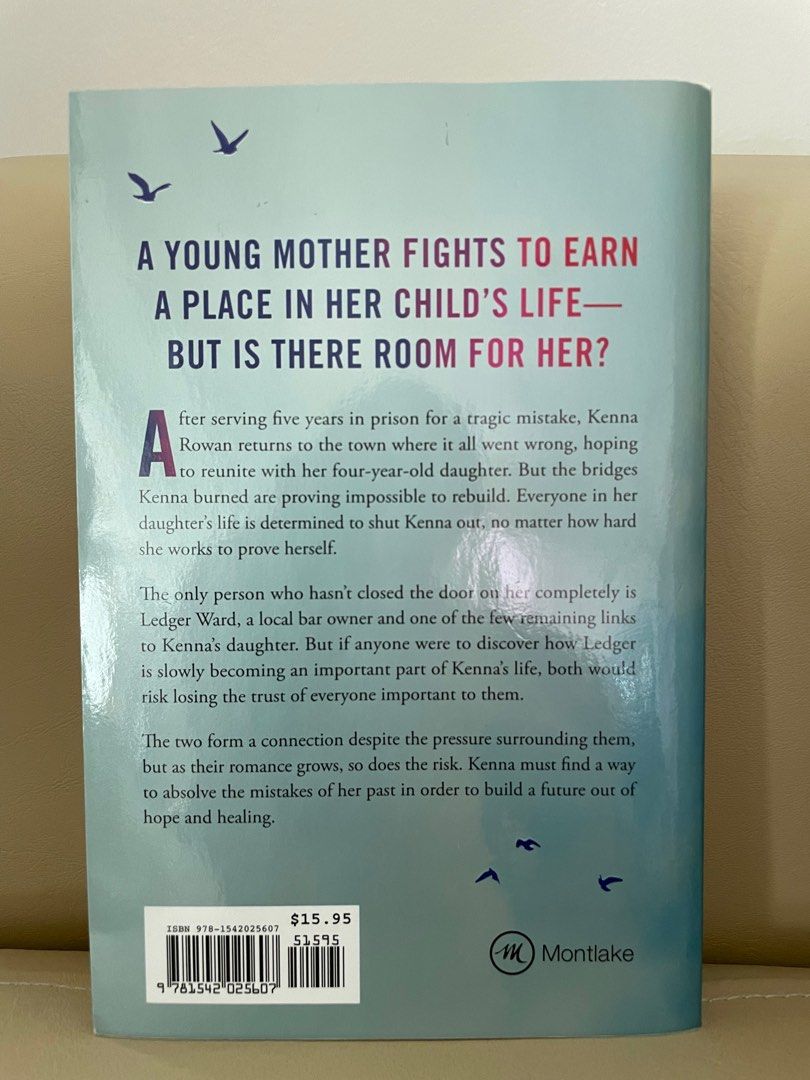 Colleen Hoover ISWU & RoH Bundle, Hobbies & Toys, Books & Magazines ...