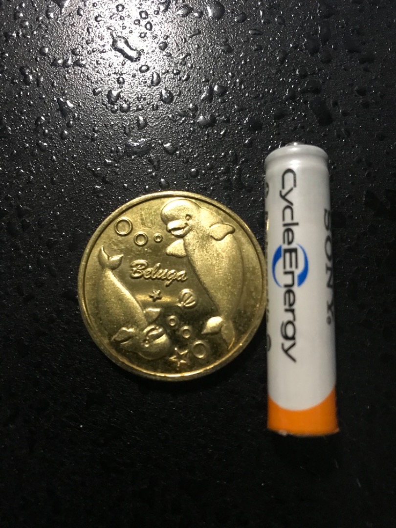 Commemorative Beluga gold coin, Hobbies & Toys, Toys & Games on Carousell