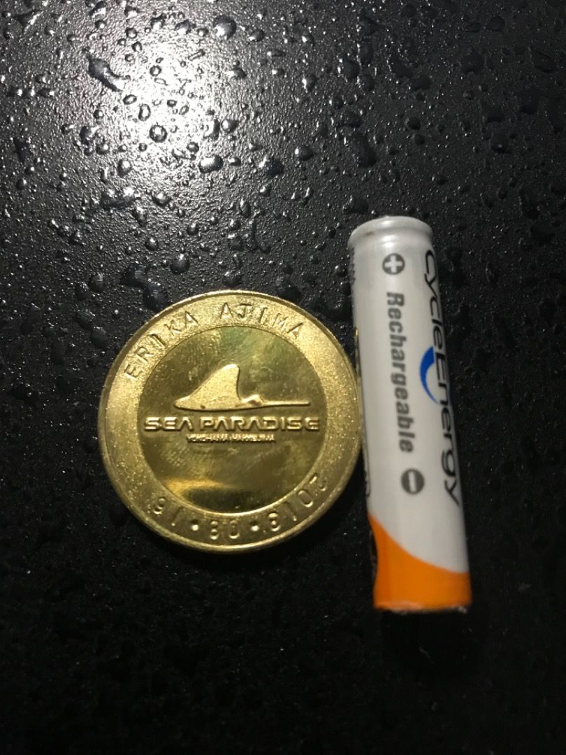 Commemorative Beluga gold coin, Hobbies & Toys, Toys & Games on Carousell