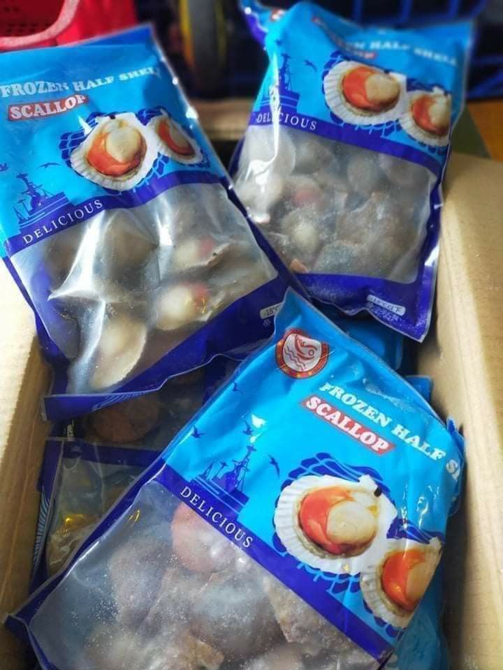 HALF SHELL SCALLOPS, Food & Drinks, Chilled & Frozen Food on Carousell