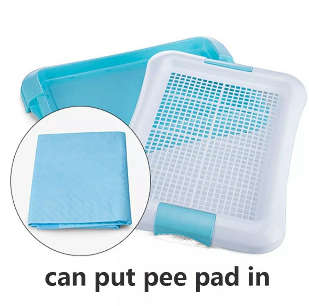 Pet pee pad, potty tray, carrier & chew toy, Pet Supplies, Homes ...