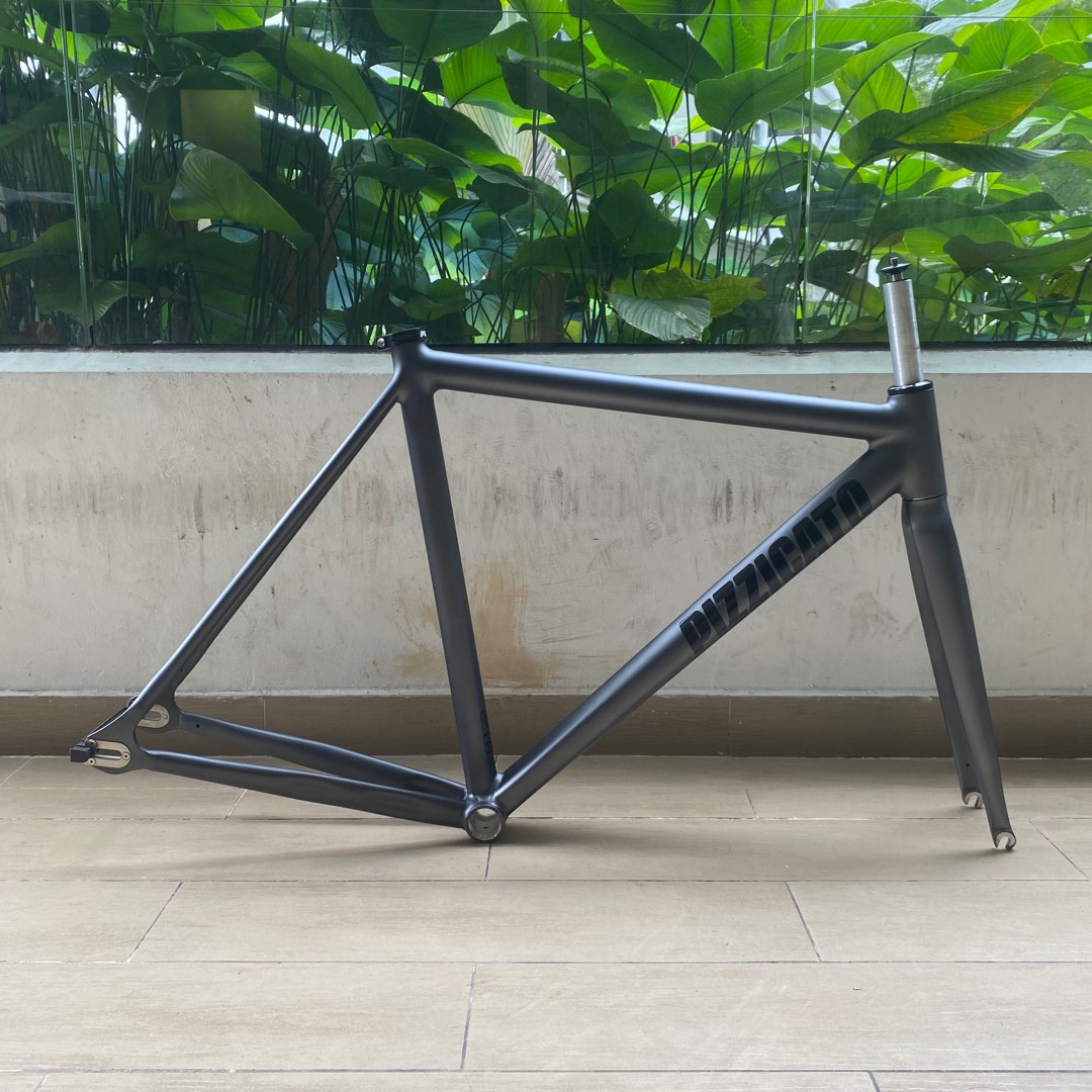 PIZZ T1 Frameset Fixed Gear Fixie Single Speed Track Bike, Sports ...