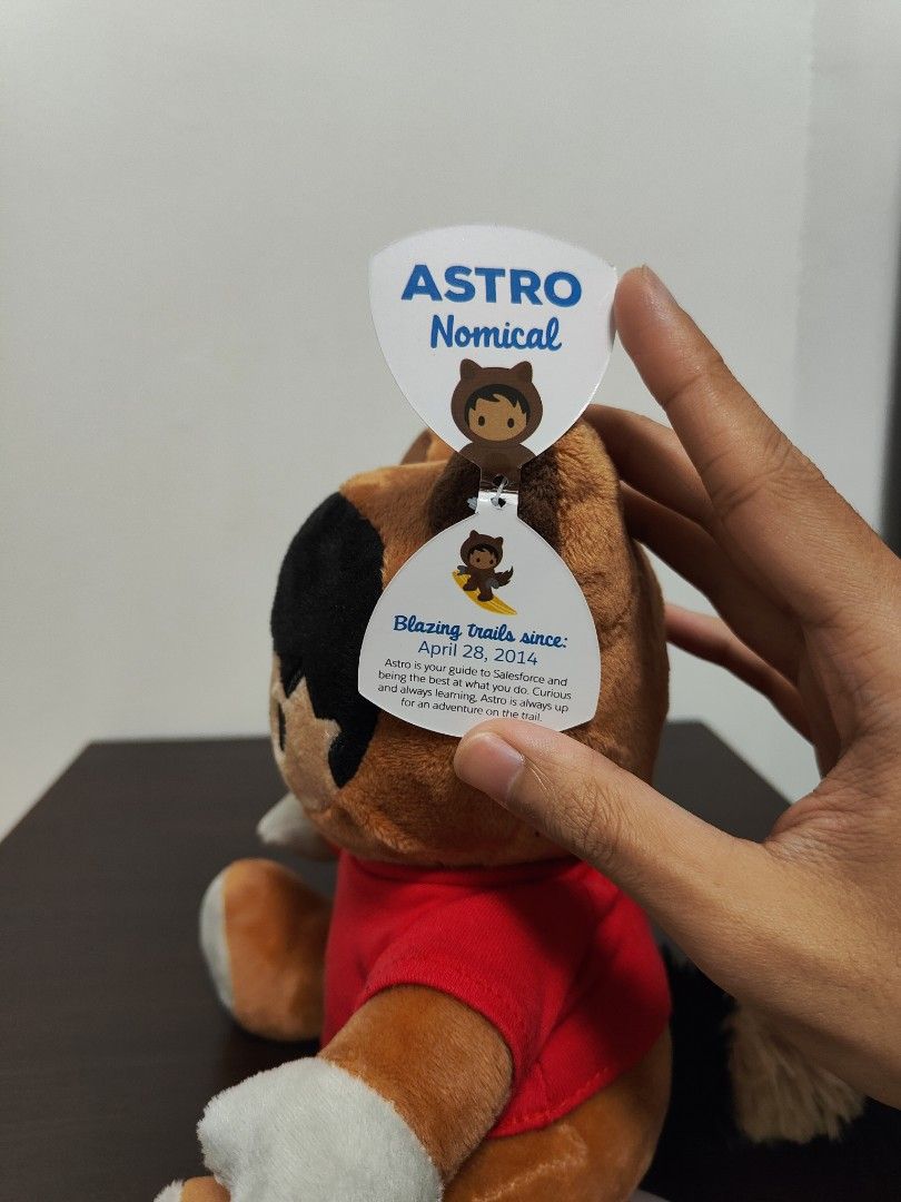 Plushie by Salesforce, Hobbies & Toys, Toys & Games on Carousell