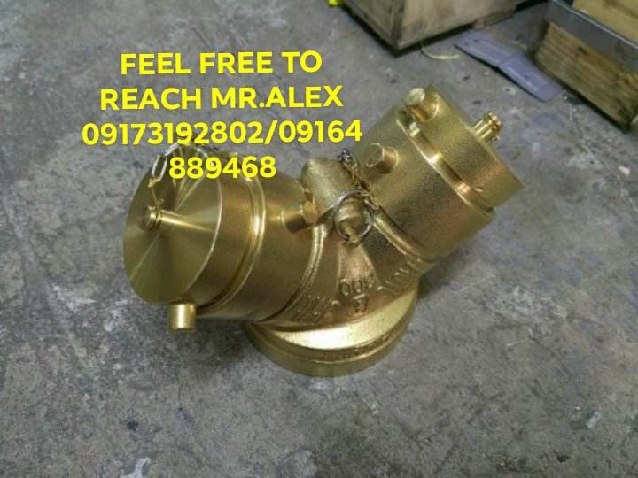 SIAMESE twin fire department connection with cap and chain (Specs: 2 1/ ...