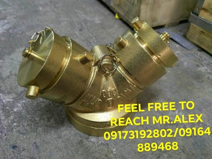 SIAMESE twin fire department connection with cap and chain (Specs: 2 1/ ...