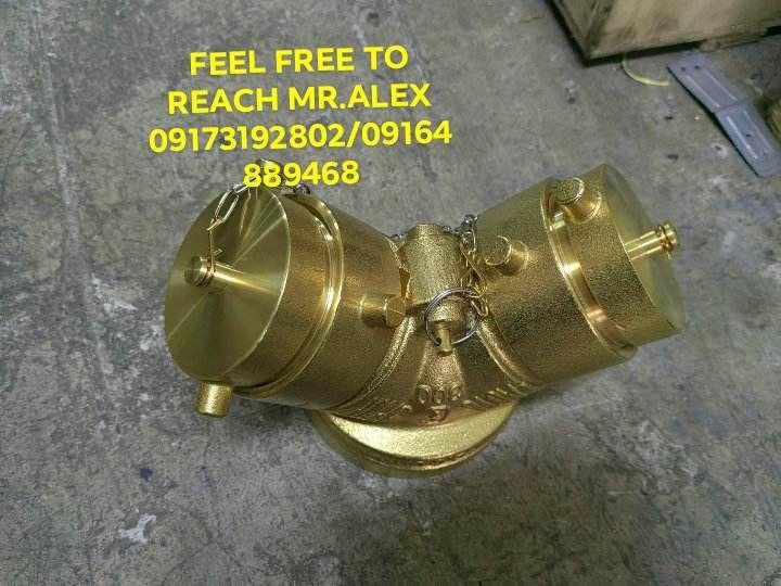 SIAMESE twin fire department connection with cap and chain (Specs: 2 1/ ...