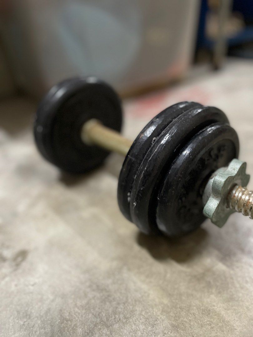 Adjustable dumbell, Sports Equipment, Exercise & Fitness, Weights ...