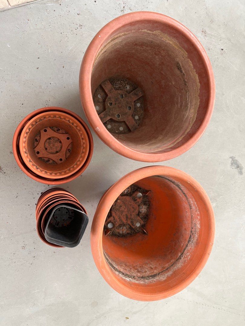 Assorted plant pots, Furniture & Home Living, Gardening, Pots ...