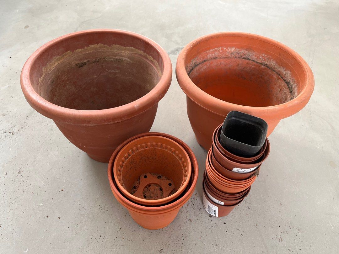 Assorted plant pots, Furniture & Home Living, Gardening, Pots ...